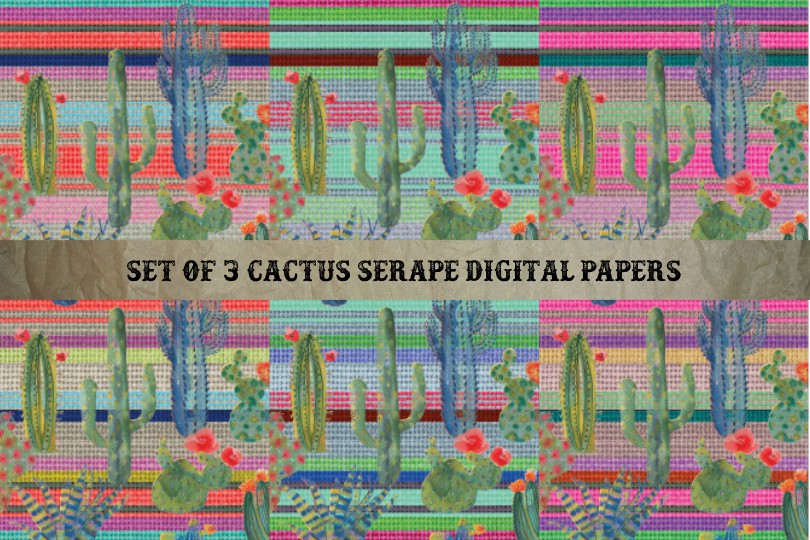 Set of 3 Cactus Serape Digital Papers - Digital Download – SSV Custom ...